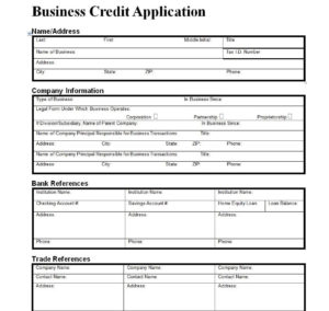 20+ FREE Credit Application Form Templates - Excel Templates